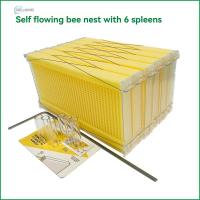 China 7 Bee Hive Frames Set Apiculture Equipment Beekeeping Tool for sale