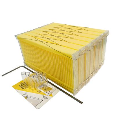 China Self-Flowing Honey 7 Bee Hive Frames Set Apiculture Equipment Auto Flows Honey Beehive for sale