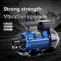 China 220V Single-Phase Concrete Vibrator - Insertion Type Cement Vibrating Rod For Construction Engineering for sale