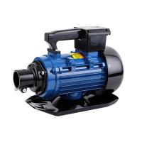 China 220V Single-Phase Concrete Vibrator - Insertion Type Cement Vibrating Rod For Construction Engineering for sale