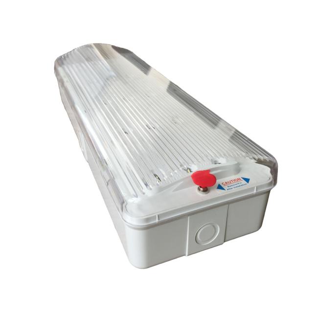 Soffitto/dispositivo automatico principale fissato al muro di emergenza della lampada, luce di emergenza principale rechargable (EL015B)