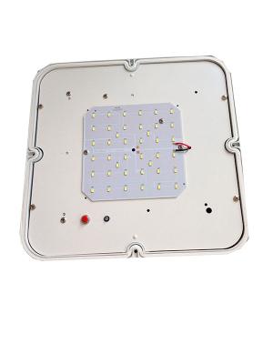 Cina La superficie della parete ha montato la lampada di emergenza ricaricabile del LED per le costruzioni di governo in vendita
