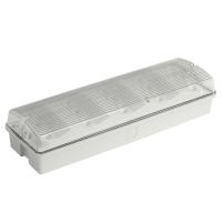 China LED Rechargeable Emergency Light 220V 3W IP65 Waterproof Maintained Non-maintained for sale