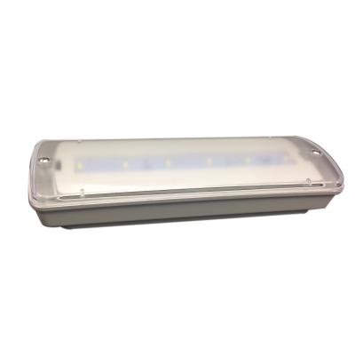 China 3W IP65 Waterproof Rechargeable Battery Backup Led Emergency Light SMD 5730 for sale