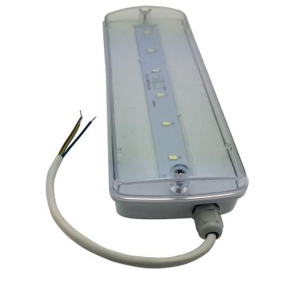 China 3 Hours Operation Rechargeable Waterproof Emergency Light Led Emergency Bulkhead IP65 for sale