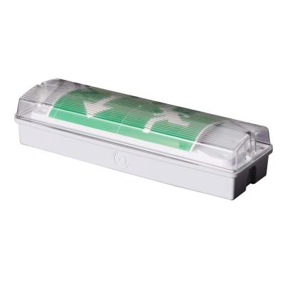 China Luz de emergência impermeável IP65 3W com bateria Ni-CD à venda