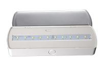 China LED Interior Emergency Light 3 Hours Ni-Cd Battery 220-240V Maintained for sale