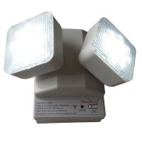 China 110V/220V Non-Maintained Self-Testing Emergency Light with PC Casing - 3+ Hour Duration, 30 LED Array, 228x145x165mm for sale