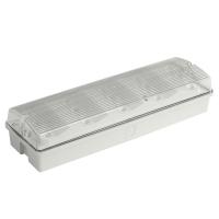 China 3W Self-Testing Emergency LED Light with 3.6V Battery, IP65 Waterproof Rating for 3+ Hours Runtime for sale