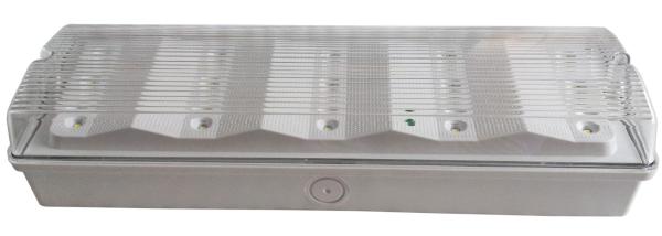 Wall Mounted Waterproof Self Testing Emergency Lights 220V with PC Diffuser