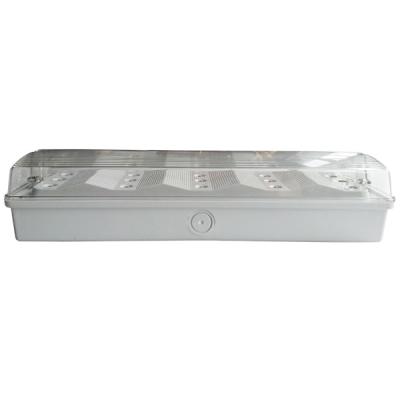 China IP65 Waterproof 110V / 220V Led Automatic Emergency Light For Teaching Buildings for sale