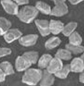 Microscopic view of polycrystalline boron-doped diamond structure