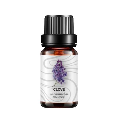 Cina Aromaterapia pura essenziale dell'olio essenziale del chiodo di garofano dell'olio 50ml MSDS 100% dell'OEM del diffusore in vendita