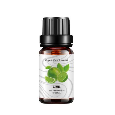 Cina 30ml calcinano il CE usda di aromaterapia dell'olio essenziale dell'OEM per fragranza domestica in vendita