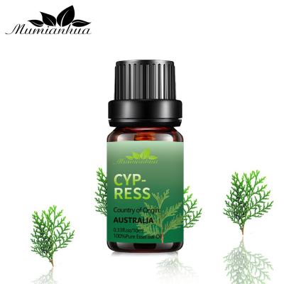 Cina Gli oli essenziali dell'ente puro di 100% profumano il ODM organico dell'olio essenziale di 20ml Cypress in vendita
