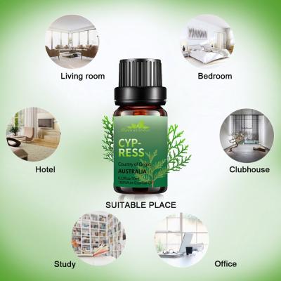 Cina Gli oli essenziali dell'ente puro di 100% profumano il ODM organico dell'olio essenziale di 20ml Cypress in vendita