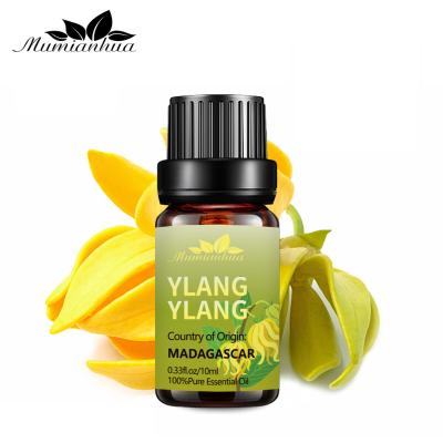 Cina Gli oli essenziali dell'ente giallo profumano la pelle pura dell'olio essenziale di ylang ylang di usda 25kg in vendita