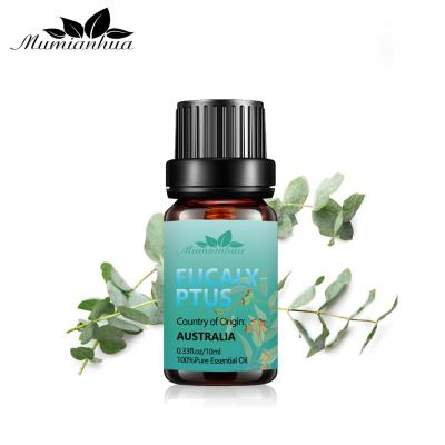 Cina OEM puro 100% naturale FDA di aromaterapia 100ml dell'olio essenziale dell'eucalyptus in vendita