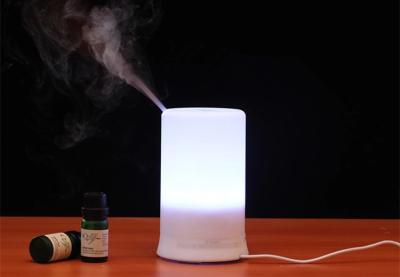 China Home Electric Aroma Diffuser Machine Aroma Mist Diffuser 100ml for sale
