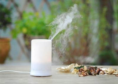 China Home Electric Aroma Diffuser Machine Aroma Mist Diffuser 100ml for sale