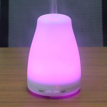 Cina Electric Sprayer Plug In Aromatherapy Diffuser Essential Oil Air Diffuser in vendita