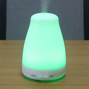 Cina Electric Sprayer Plug In Aromatherapy Diffuser Essential Oil Air Diffuser in vendita
