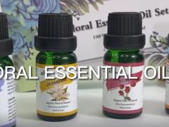 van de de Etherische olie de Vastgestelde 0.3kg 100% Zuivere Etherische olie van 6pcs Aromatherapy Gift Vastgestelde COA