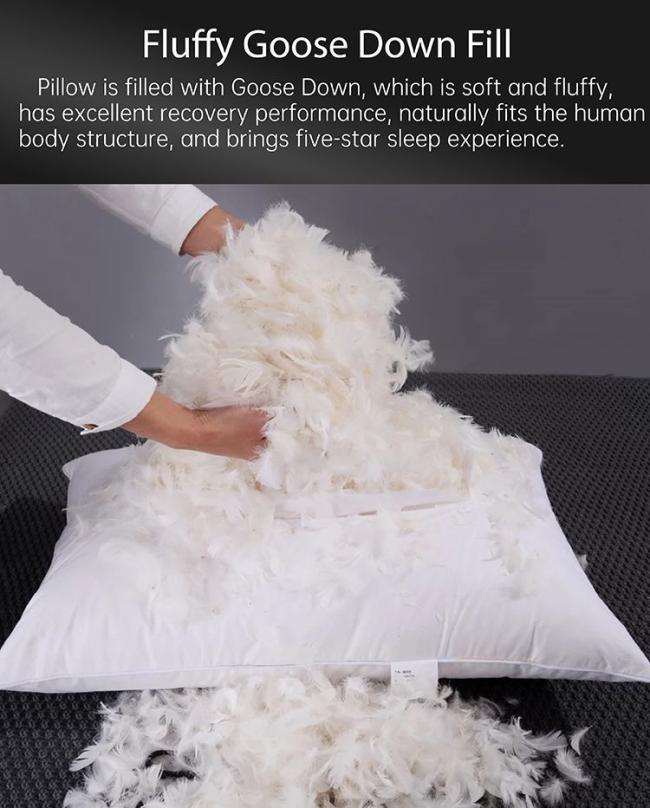 5 Star Hotel White Duck Down Pillow Collection Bed Pillows