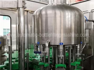 Cina Succo commerciale della polpa che fa macchina, attrezzatura di stabilimento di imbottigliamento di vetro dell'ananas in vendita
