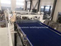 China Fully Automatic Empty Can Depalletizer 6000 Cans per Hour Beverage Filling Machine for sale