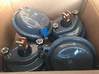 Cina Parti di ricambio per rimorchio su misura 9253801010 Camera freno del rimorchio in vendita