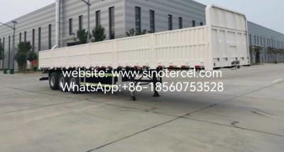 Cina Trasporto di pallet Semirimorchio a parete laterale 20000kg-70000kg Container cargo in vendita
