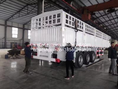 Cina 3 assi Fence di carico sfuso semirimorchio durevole con sospensione meccanica / aria in vendita