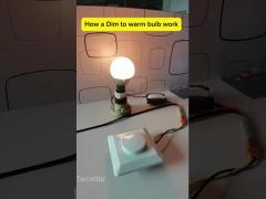 120V 7W GU10 LED Spotlight 520lm Dim To Warm 60 Degrees Flicker Free LED Lamp (Lâmpada LED sem piscadela)