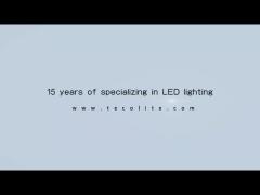 Teco MR11 LED-lamp Parameters en toepassingsvideo