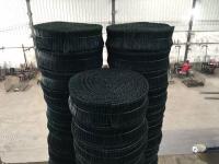 China Galvanised Double Loop Q195 BWG16 Black Binding Wire for sale