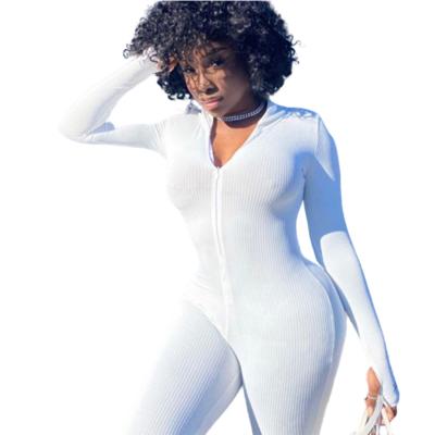 China Front Zipper Bodycon Short Pants Ribbed Knitted Fitness clothing Women Jumpsuit Shorts yoga set for sale