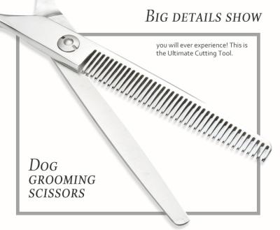 China Beautiful Pet Grooming Scissors High Sharpness Silver Color Precise Cutting for sale