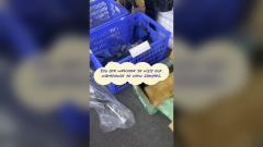 Subaru Impreza WRX STI Hood Lock Latch Repair 57310FG011