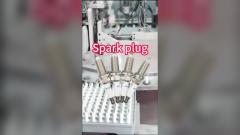 Toyota Spark Plug 0087 000