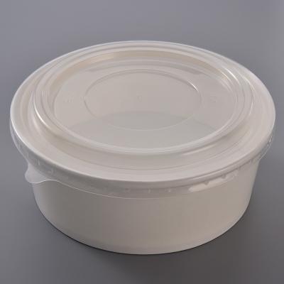 Cina I liquidi freddi portano via l'abitudine libera della tagliatella della minestra di BPA stampano la ciotola eliminabile di Libro Bianco in vendita