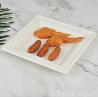 Cina Fatto del piatto bianco eliminabile completamente biodegradabile amichevole della bagassa di Eco delle fibre naturali della canna da zucchero in vendita