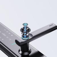 China Antitheft Smart Fingerprint Door Lock Biometric Outdoor Gate Lock Face Recognition for sale