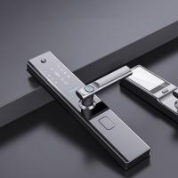 China Antitheft Smart Fingerprint Door Lock Biometric Outdoor Gate Lock Face Recognition for sale