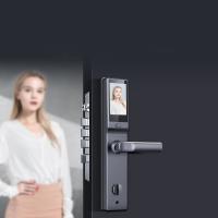 China Antitheft Smart Fingerprint Door Lock Biometric Outdoor Gate Lock Face Recognition for sale