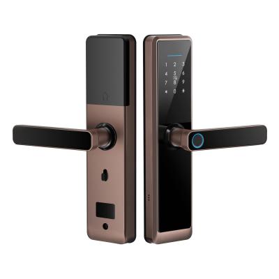 Cina Silence Fingerprint Door Lock Keyless Bluetooth Wifi Biometric Digital For Business in vendita