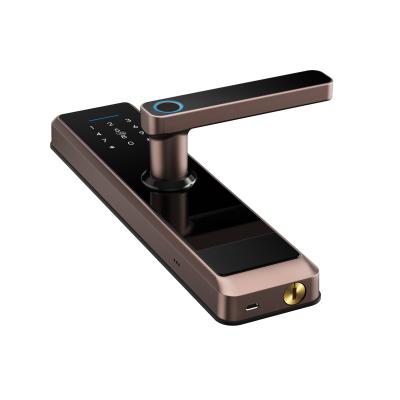 Cina Silence Fingerprint Door Lock Keyless Bluetooth Wifi Biometric Digital For Business in vendita
