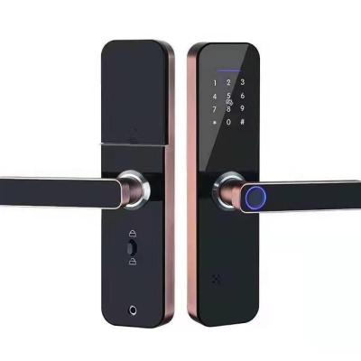 Cina Virtual Password Fingerprint Door Lock Keyless Bluetooth Wifi Biometric Digital For Business in vendita