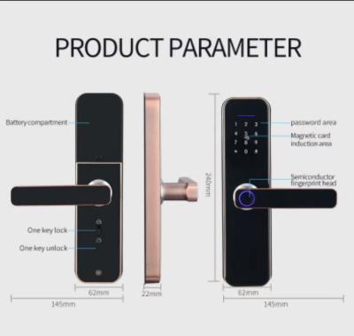 Cina Virtual Password Fingerprint Door Lock Keyless Bluetooth Wifi Biometric Digital For Business in vendita