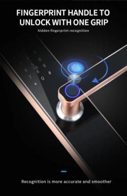 Cina Virtual Password Fingerprint Door Lock Keyless Bluetooth Wifi Biometric Digital For Business in vendita